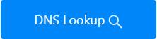 DNS Lookup | Check Any Domain’s DNS Records with a Click