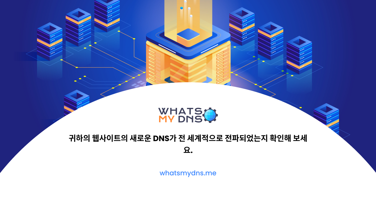 DNS 전파 확인 전 세계