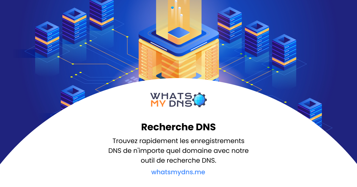 Recherche DNS | Vérifiez les enregistrements DNS de n'importe quel ...