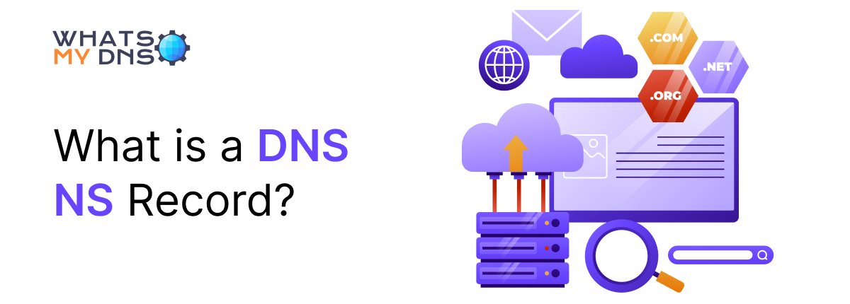 What is a DNS NS Record? Understanding NS Records