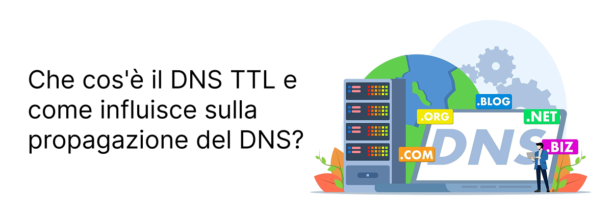 Che cos'è il TTL e come influisce sulla propagazione del DNS?