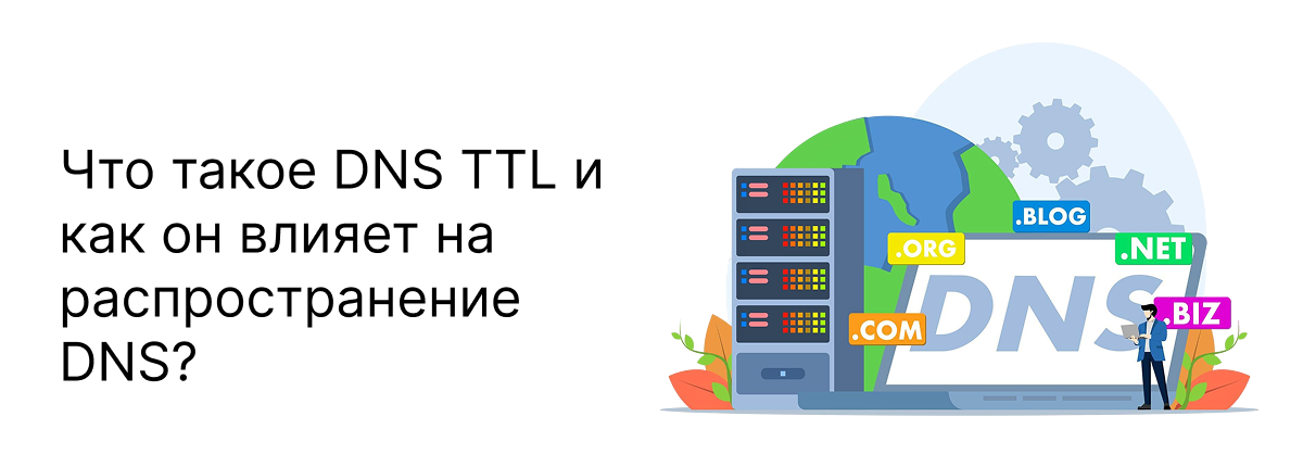 Что такое TTL и как он влияет на распространение DNS?